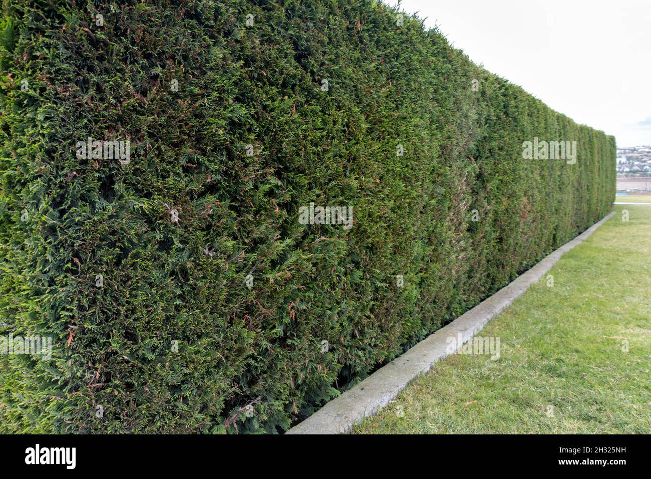 Grass wall, ornamental garden arrangement Stock Photo - Alamy