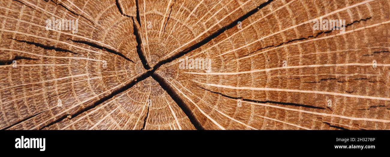 Radial Cutting High Resolution Stock Photography and Images - Alamy