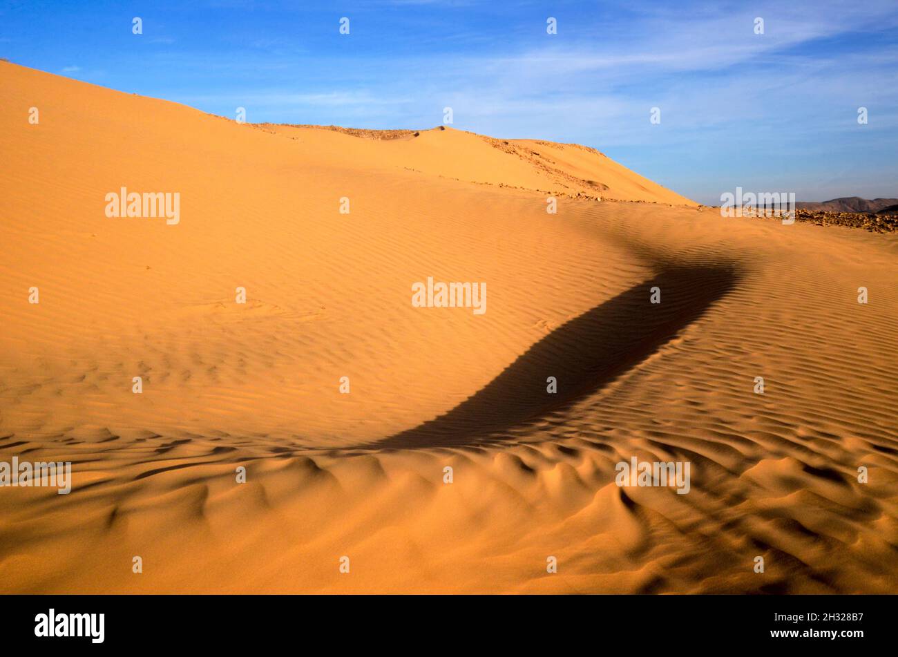 Desert sand dunes. Photographed in the Aravah region, Negev Desert ...