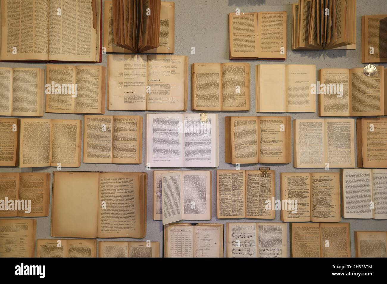 Book collection display hi-res stock photography and images - Alamy