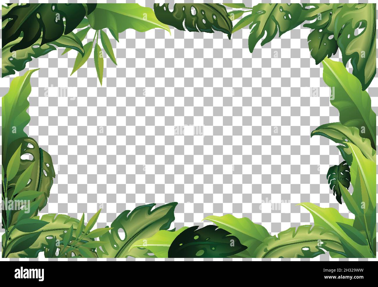 Nature plants frame transparent background illustration Stock Vector ...