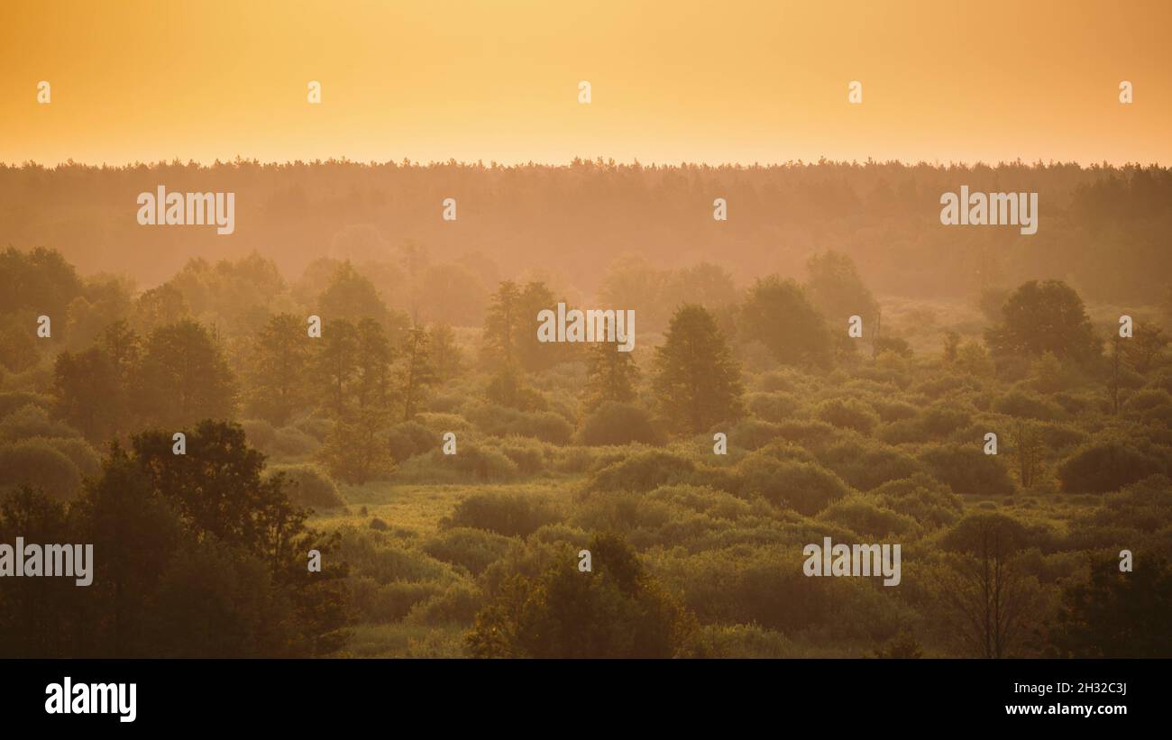 Set. Sunrise Over Forest Landscape. Scenic View Of Morning Sky With ...
