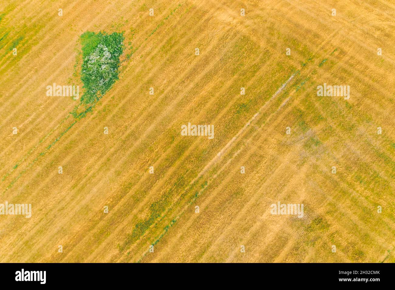 Klaipeda region hi-res stock photography and images - Alamy