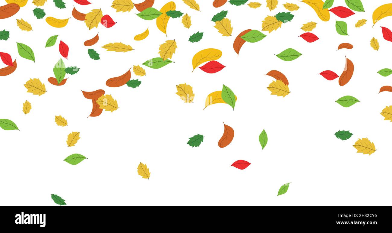 colorful leaves falling on a white background Stock Vector Image & Art ...
