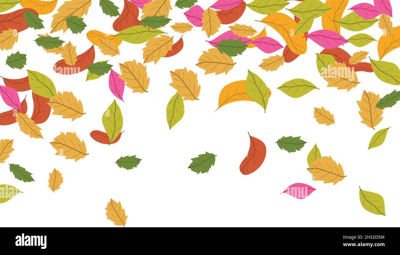 colorful leaves falling on a white background Stock Vector Image & Art ...