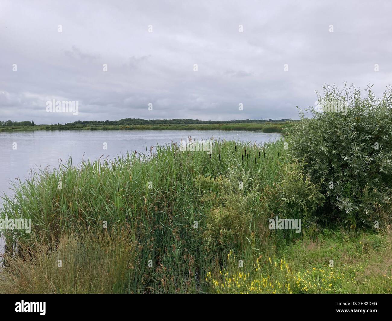St aidans nature reserve hi-res stock photography and images - Alamy