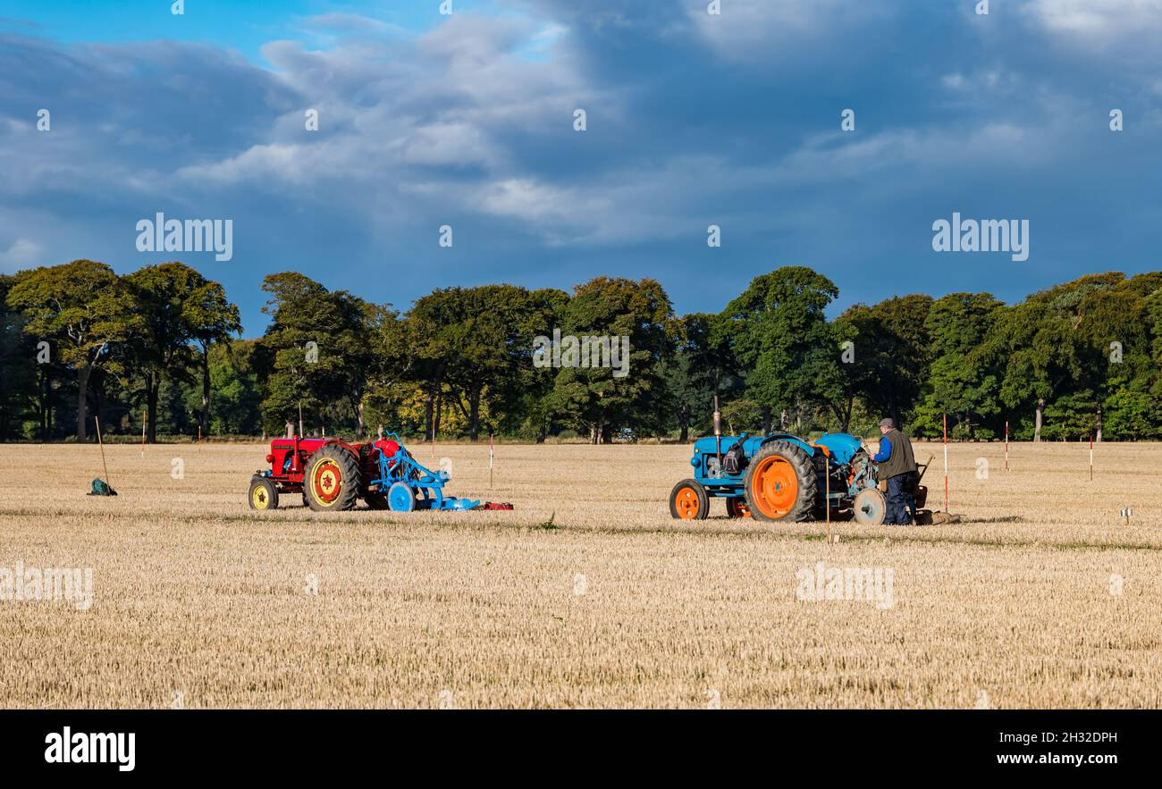 Vintage tractors ploughing furrows in field in ploughing match, East ...