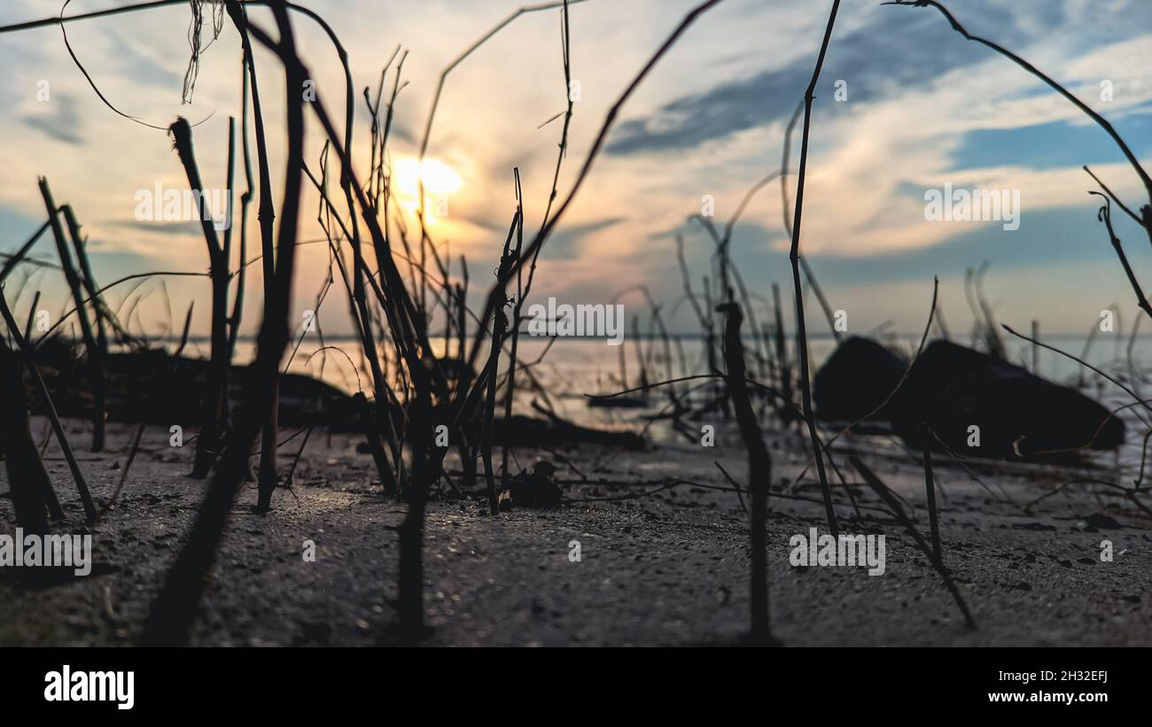 Focus on sunset hi-res stock photography and images - Alamy