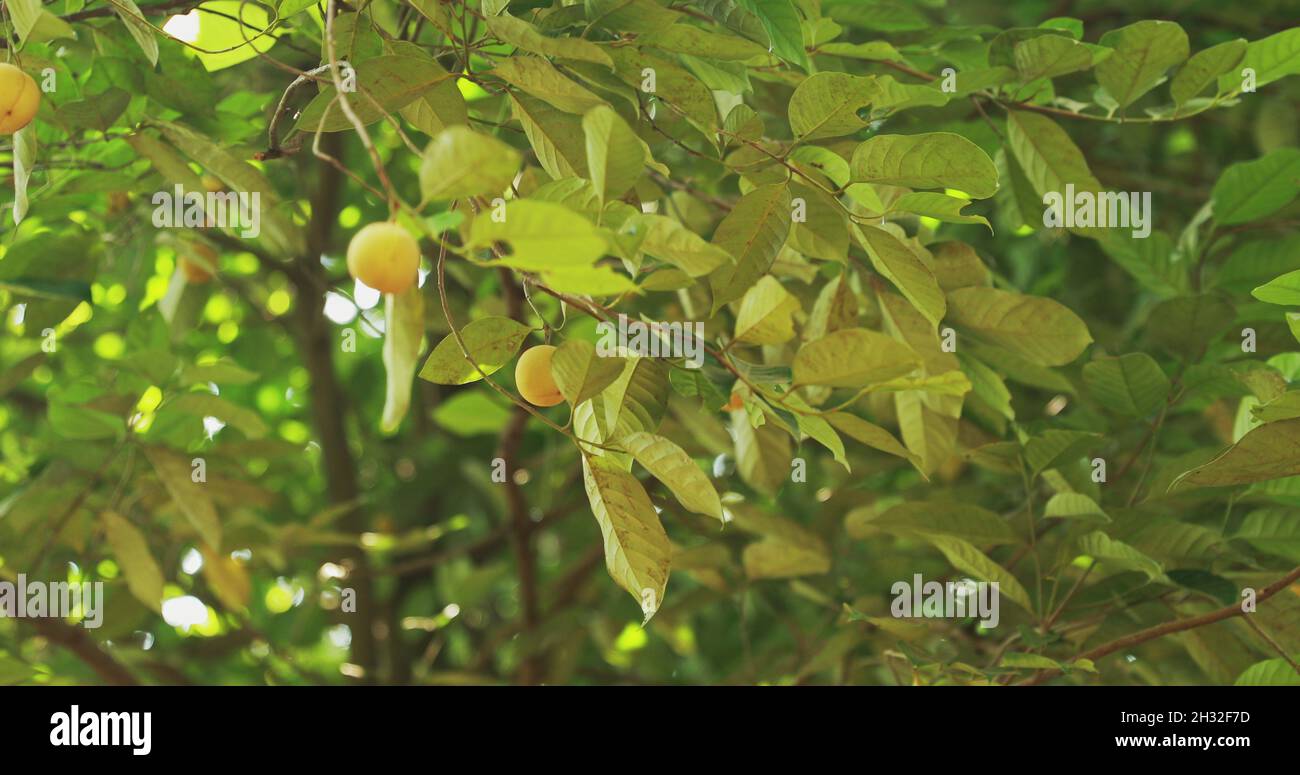 India 4k hi-res stock photography and images - Alamy