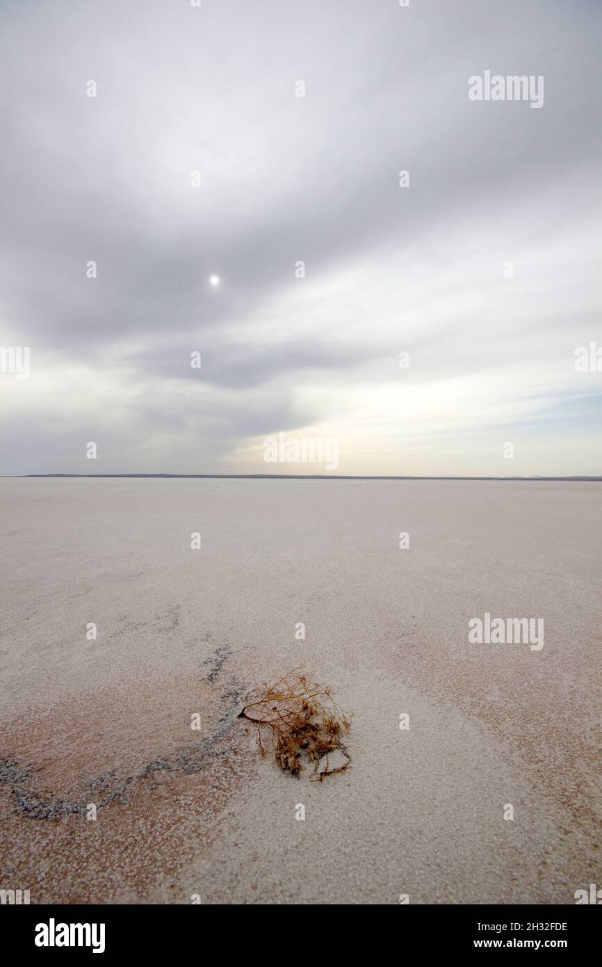 Tuz Golu Turkey. Salt Lake. White salt water Stock Photo - Alamy