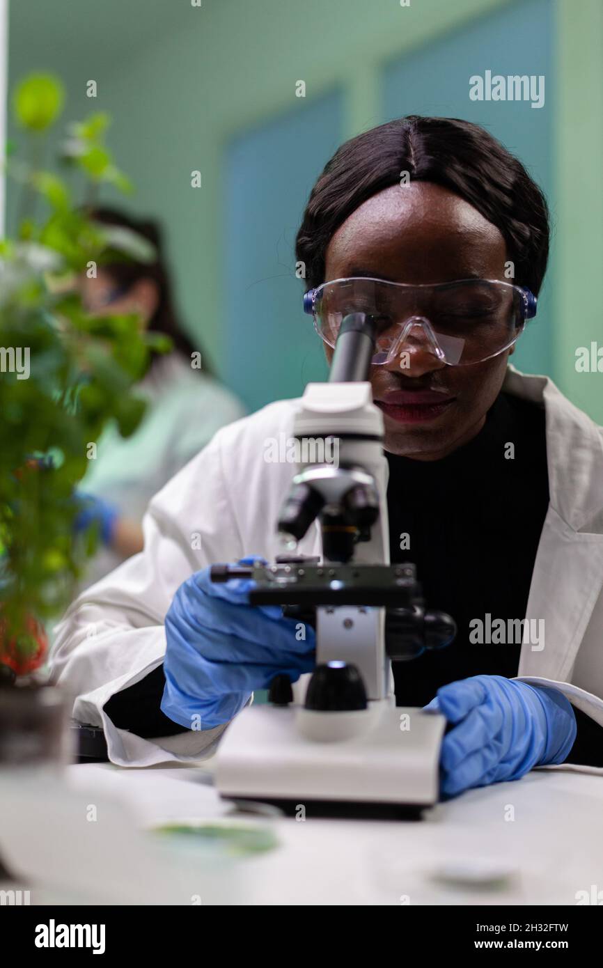African american biochemist researcher analyzing green plant sample ...