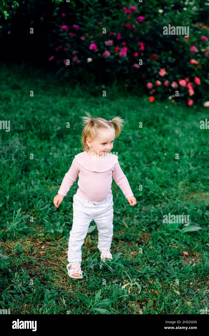 Small caucasian toddler girl trying to walk at green summer rose garden ...
