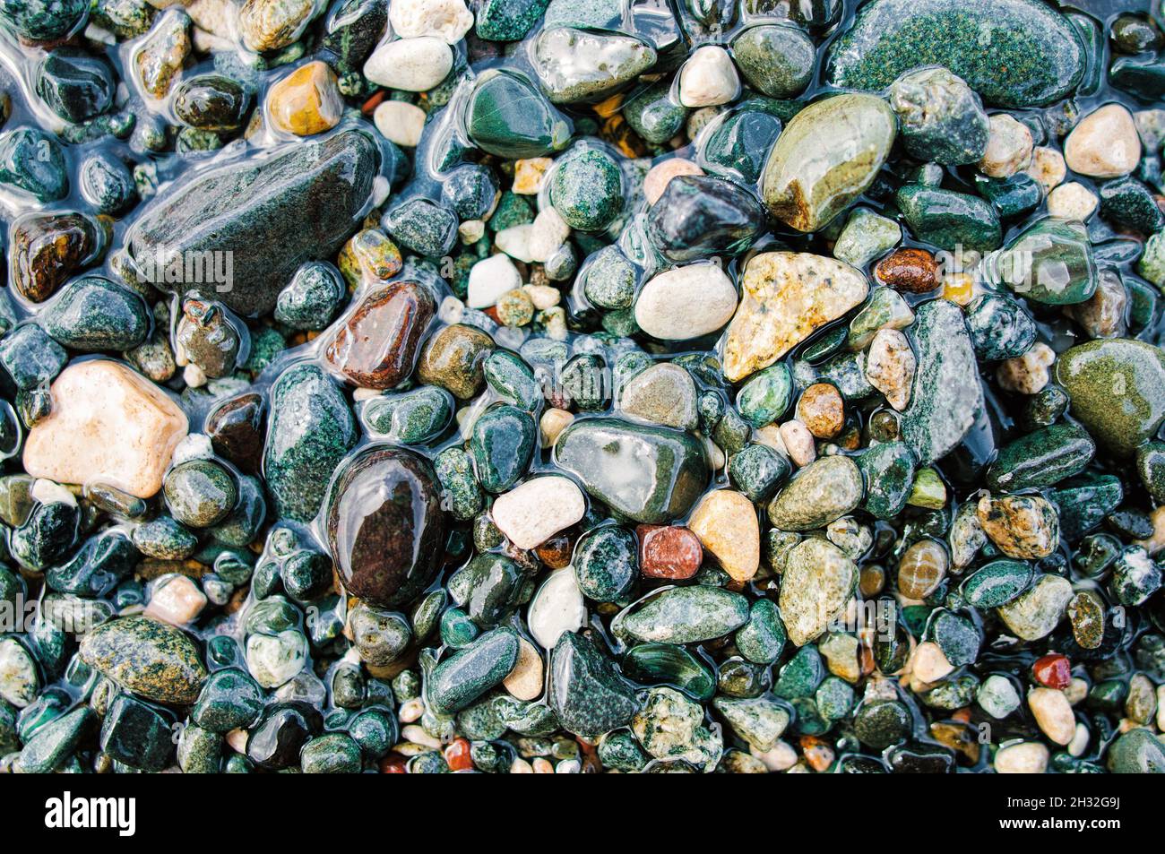 Colorful wet sea stones on the shore close up. Top view, flat lay ...