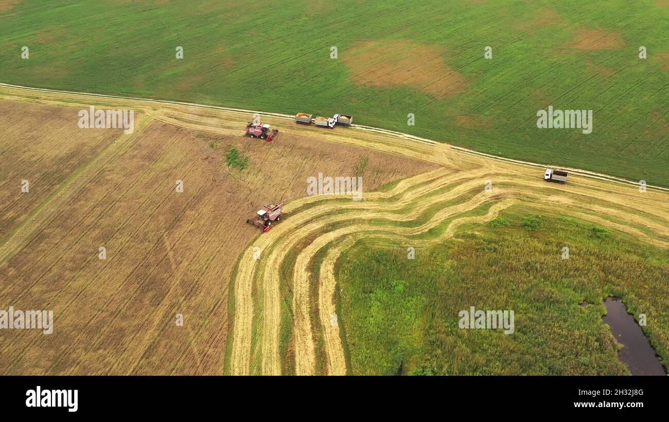 Aerial View Of Rural Landscape. Combines Harvesters Working In Field ...
