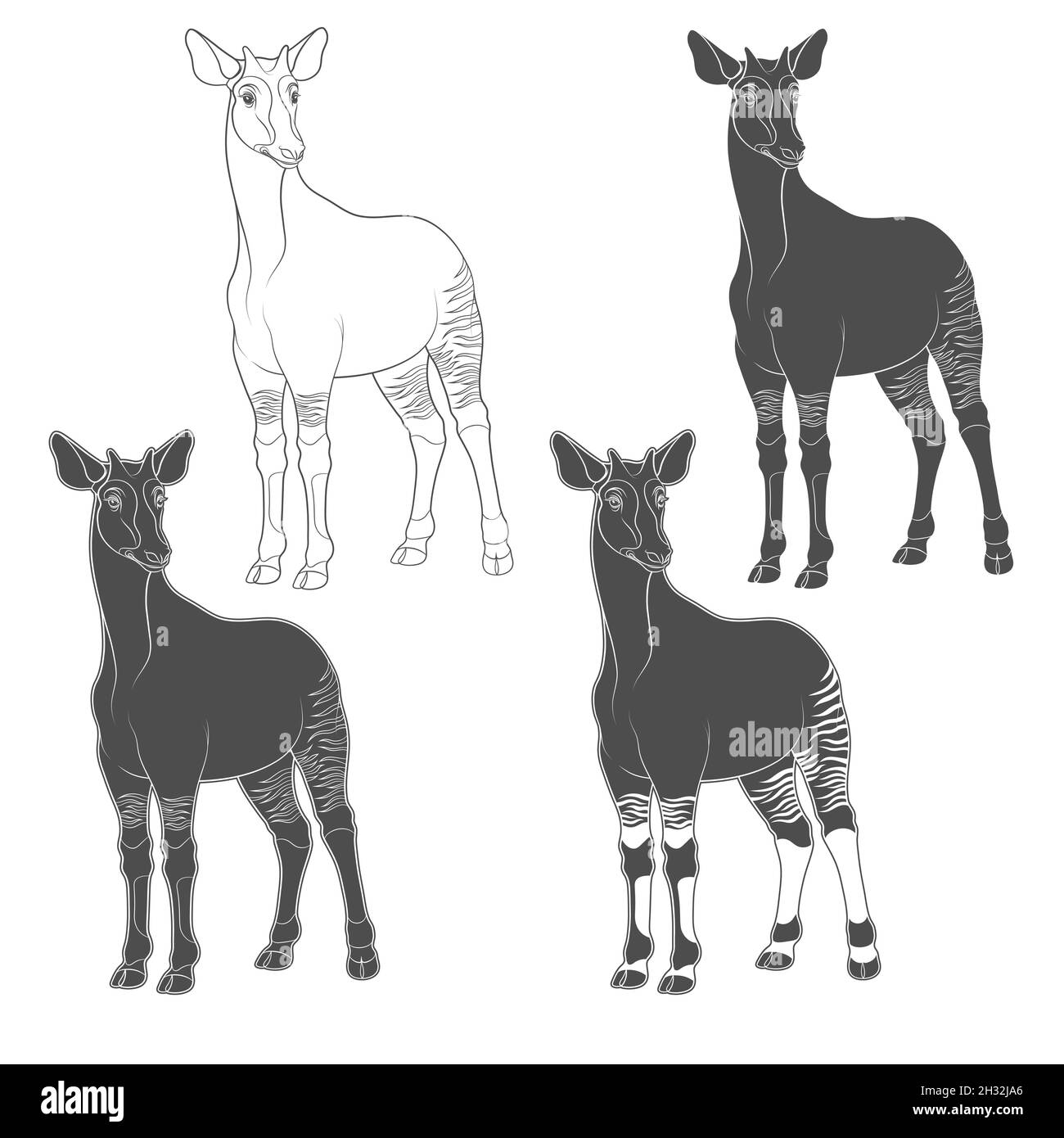 Set of black and white images with okapi. Isolated vector objects on ...