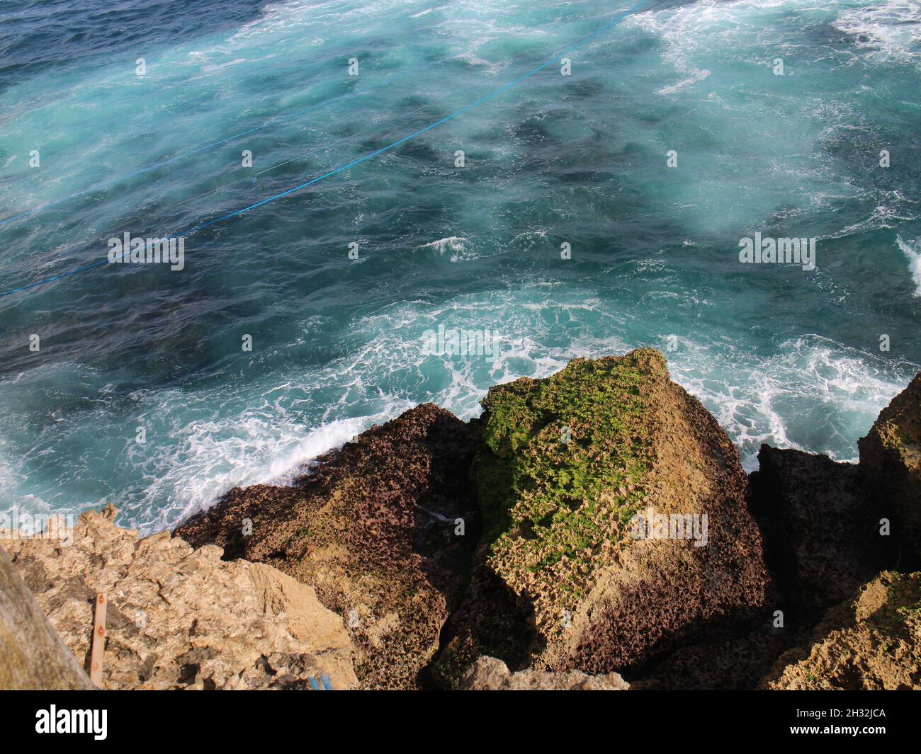 Life in the blue Stock Photo - Alamy