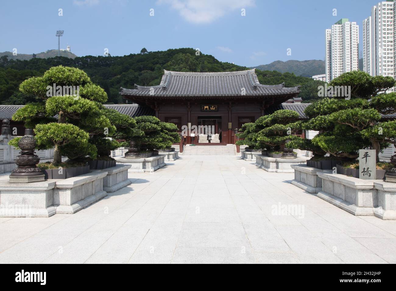 Bonsai trees in Chi Lin Nunnery in Hong Kong Stock Photo - Alamy