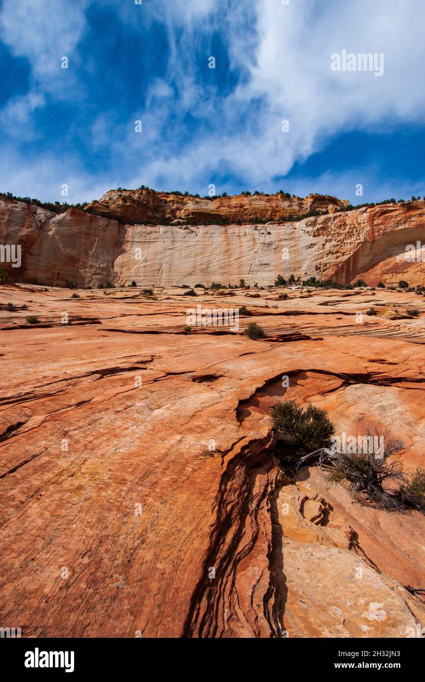 Stunning cliff wall seen from below in Zion National Park, Utah, USA ...