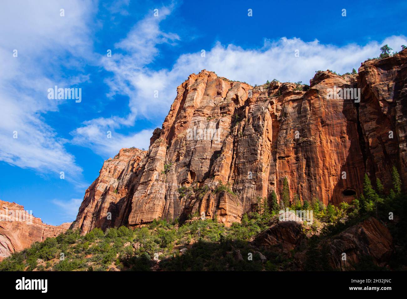 Zion National Park wild cliff wall | Landscape of Zion National Park ...