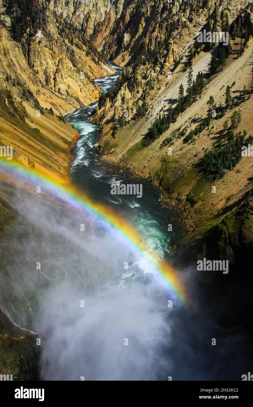 Yellowstone Grand Canyon with rainbow on sunny day closeup Stunning ...
