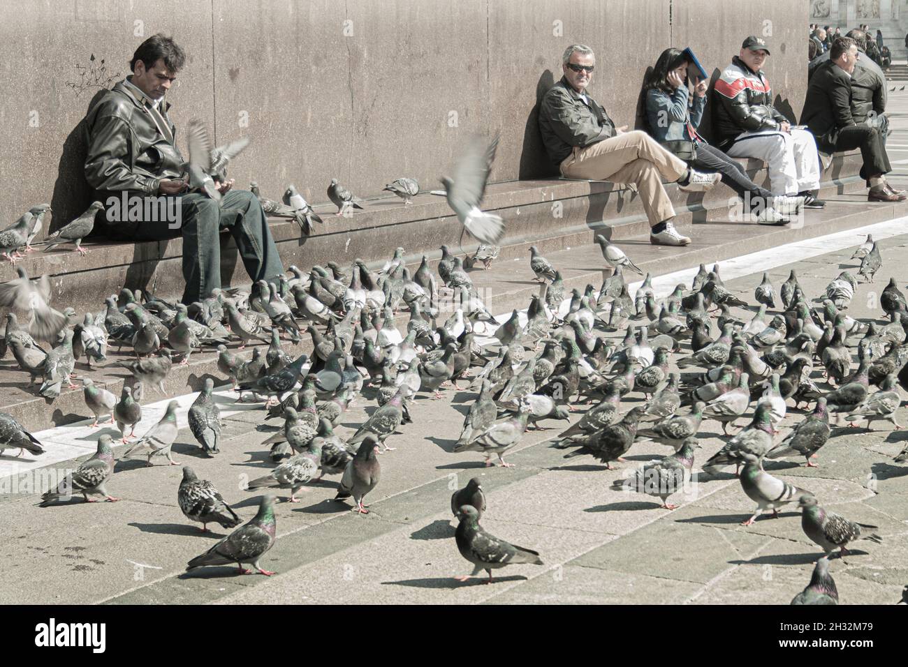 Milan cathedral lion pigeons hi-res stock photography and images - Alamy