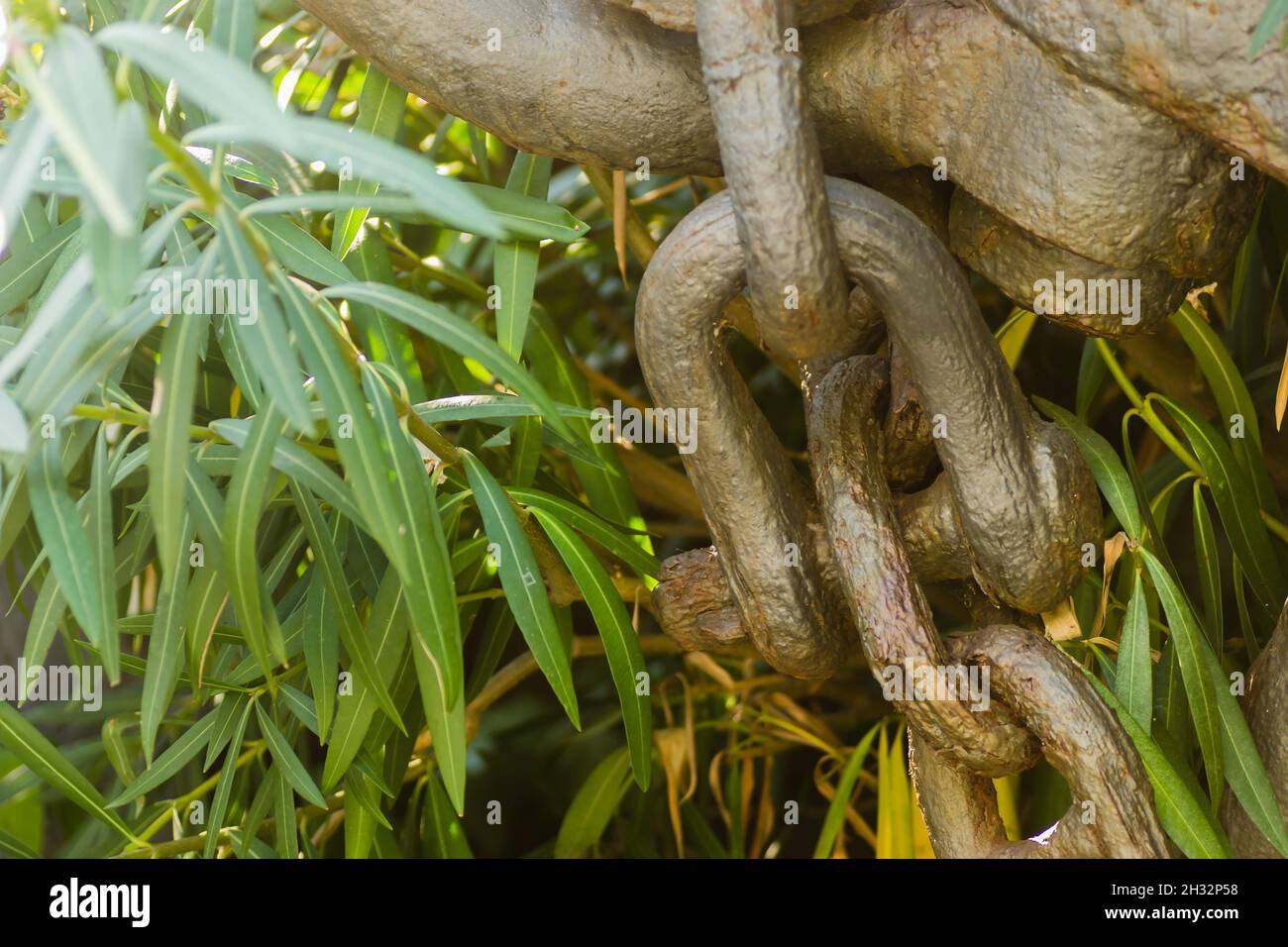 Heavy links of a thick anchor chain - close-up of a museum space in the ...