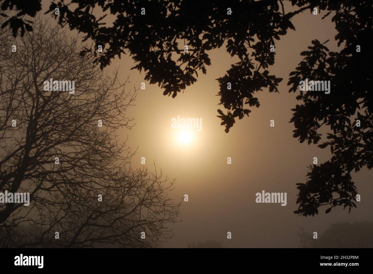 Early morning Welsh sunrise, in Ciliau Aeron. The best of nature Stock ...