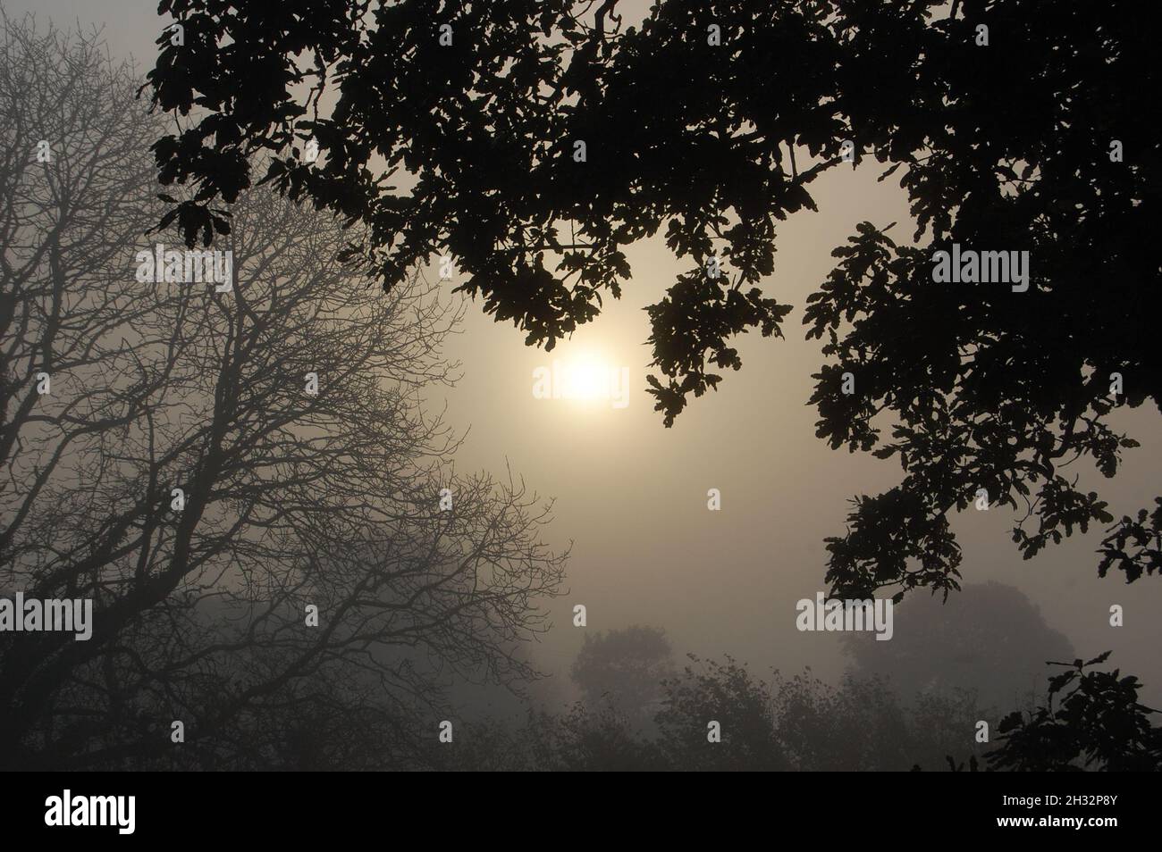 Ciliau aeron hi-res stock photography and images - Alamy