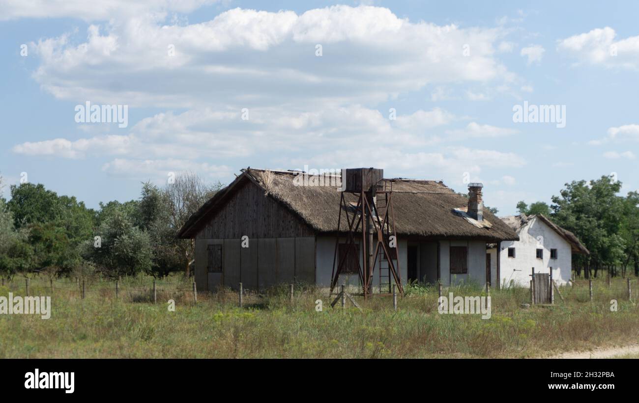 Beautiful view of an old traditional house with a reed roof Stock Photo ...