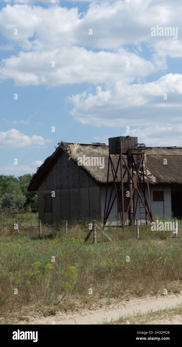 Beautiful view of an old traditional house with a reed roof Stock Photo ...