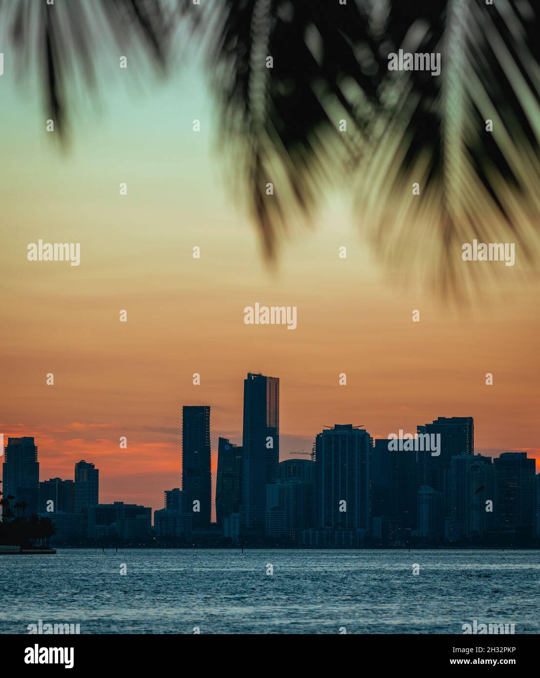miami skyline beautiful palms sky orange Stock Photo - Alamy