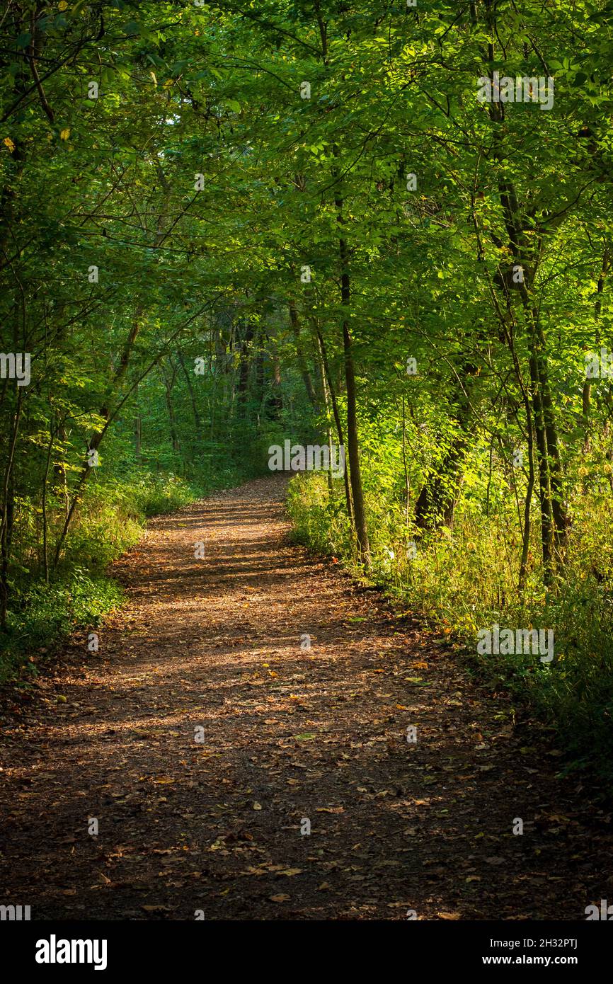 Sharon woods hi-res stock photography and images - Alamy