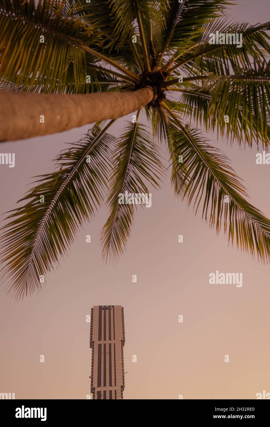 Tropical skyscraper hi-res stock photography and images - Alamy