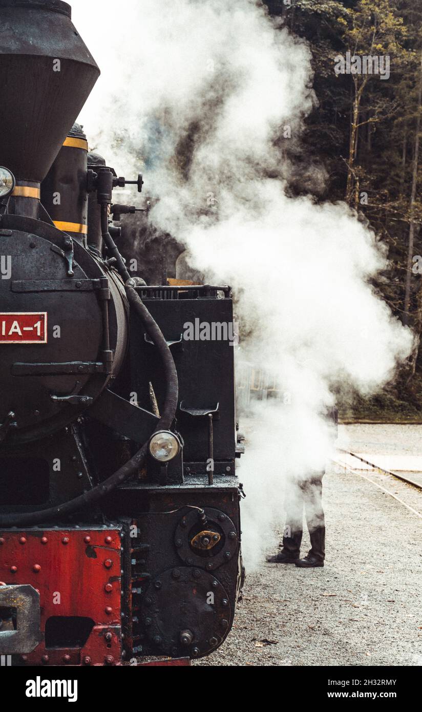 Steam train and a person standing on the station on the background of ...