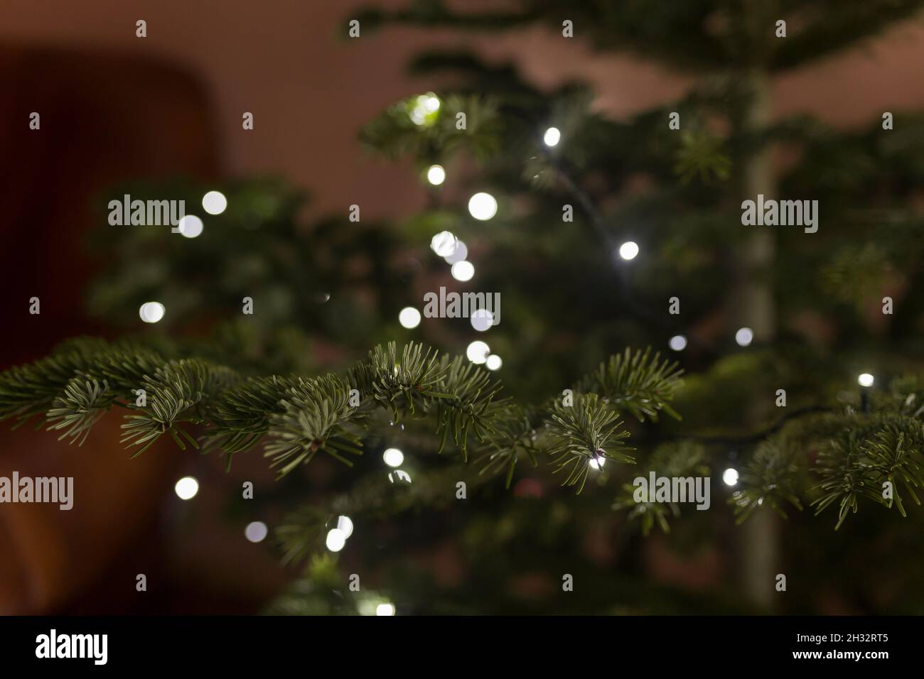 green christmass tree with cool led twinkle lights on Stock Photo - Alamy