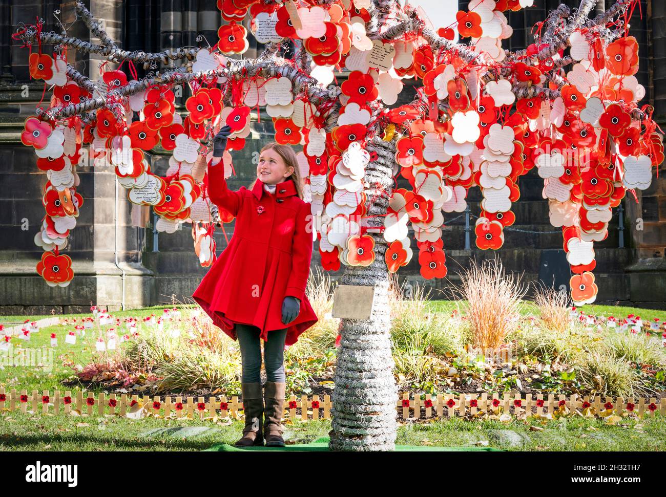 Amelia Armstrong, aged 11, reads messages at the Poppy Tree at the ...