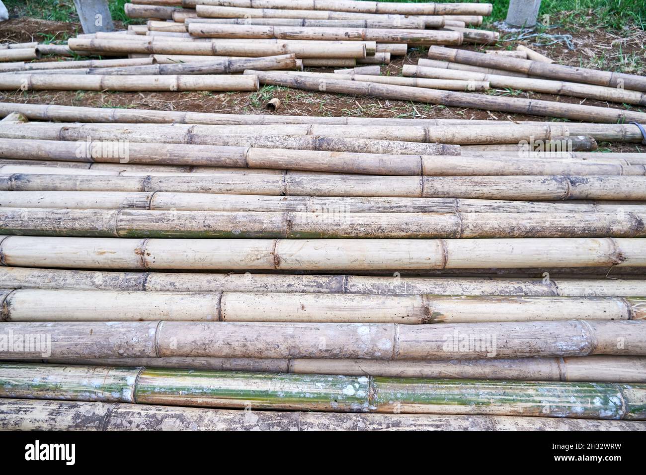 stack of bamboo ready to be used as building material Stock Photo - Alamy