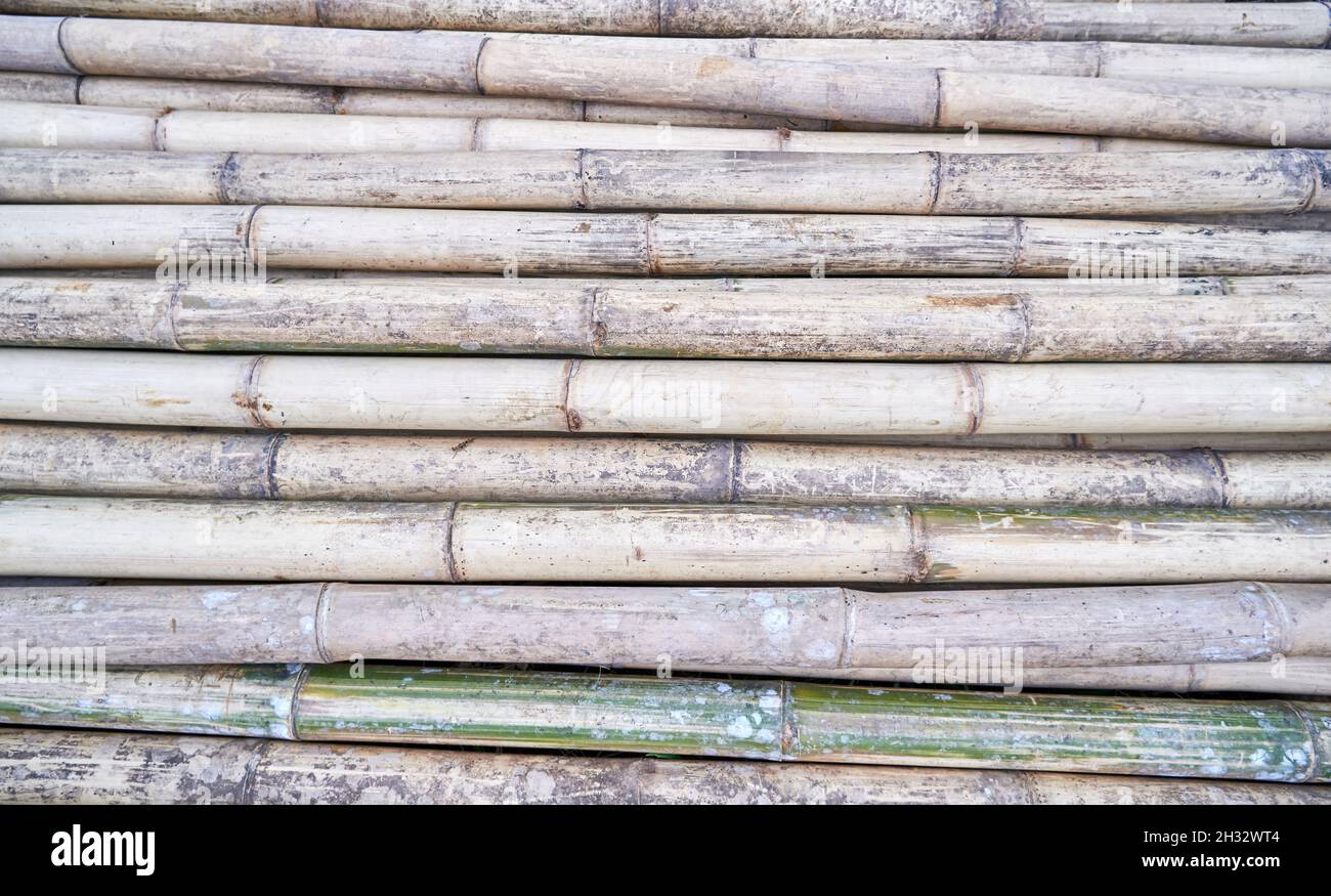 stack of bamboo ready to be used as building material Stock Photo - Alamy