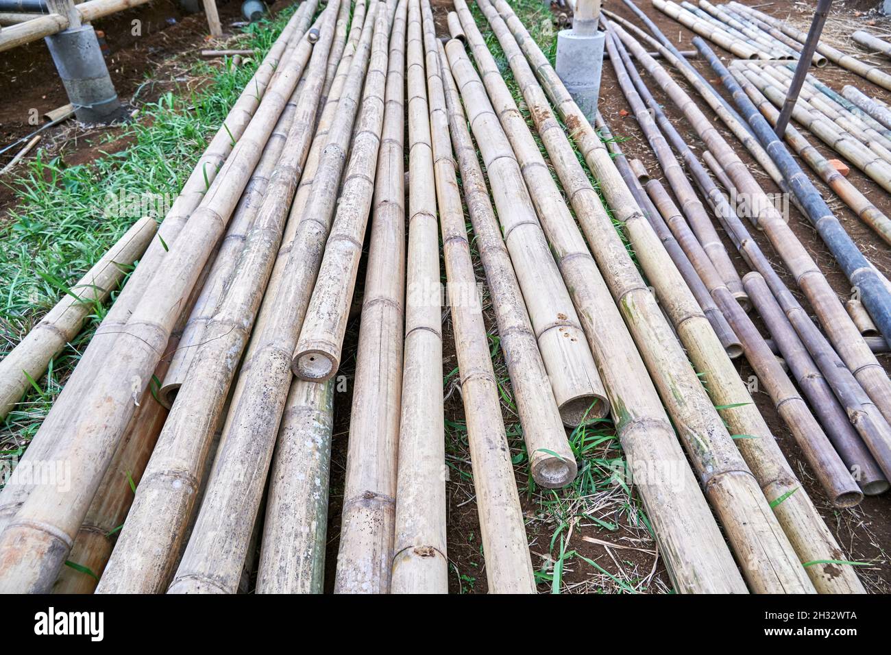 stack of bamboo ready to be used as building material Stock Photo - Alamy