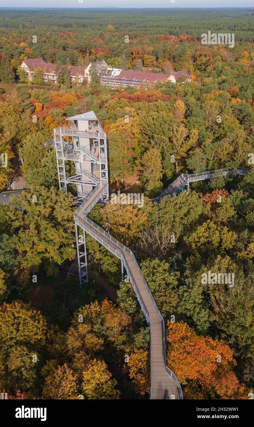 Beelitz, Germany. 25th Oct, 2021. In sunny weather, visitors look down ...