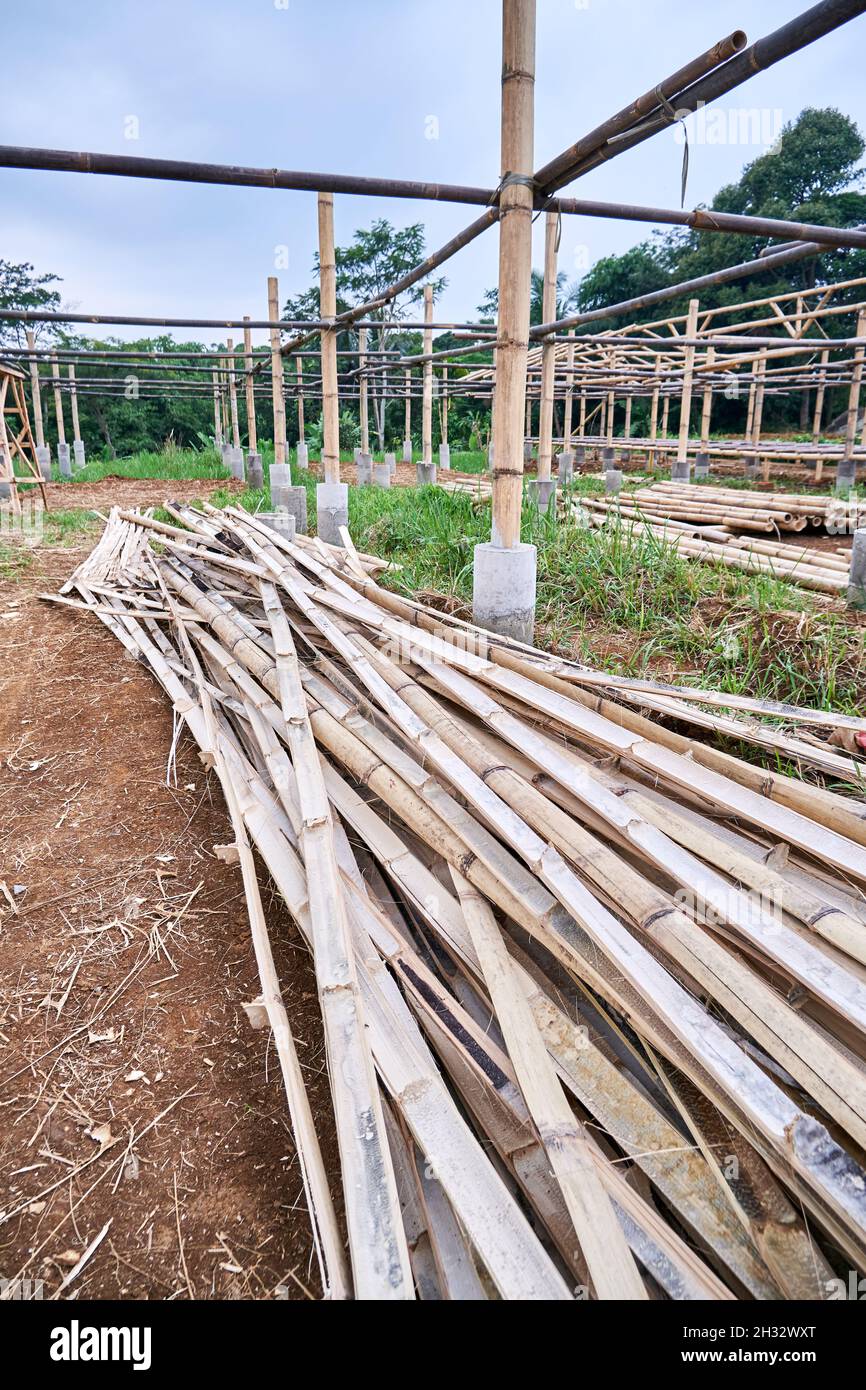 stack of bamboo ready to be used as building material Stock Photo - Alamy