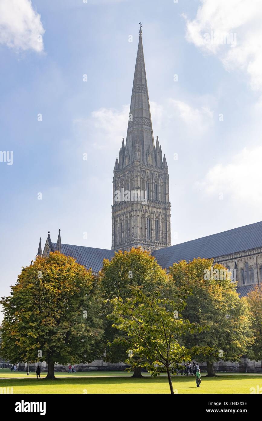 Autumn UK; Salisbury Cathedral UK; seen from the green in autumn ...