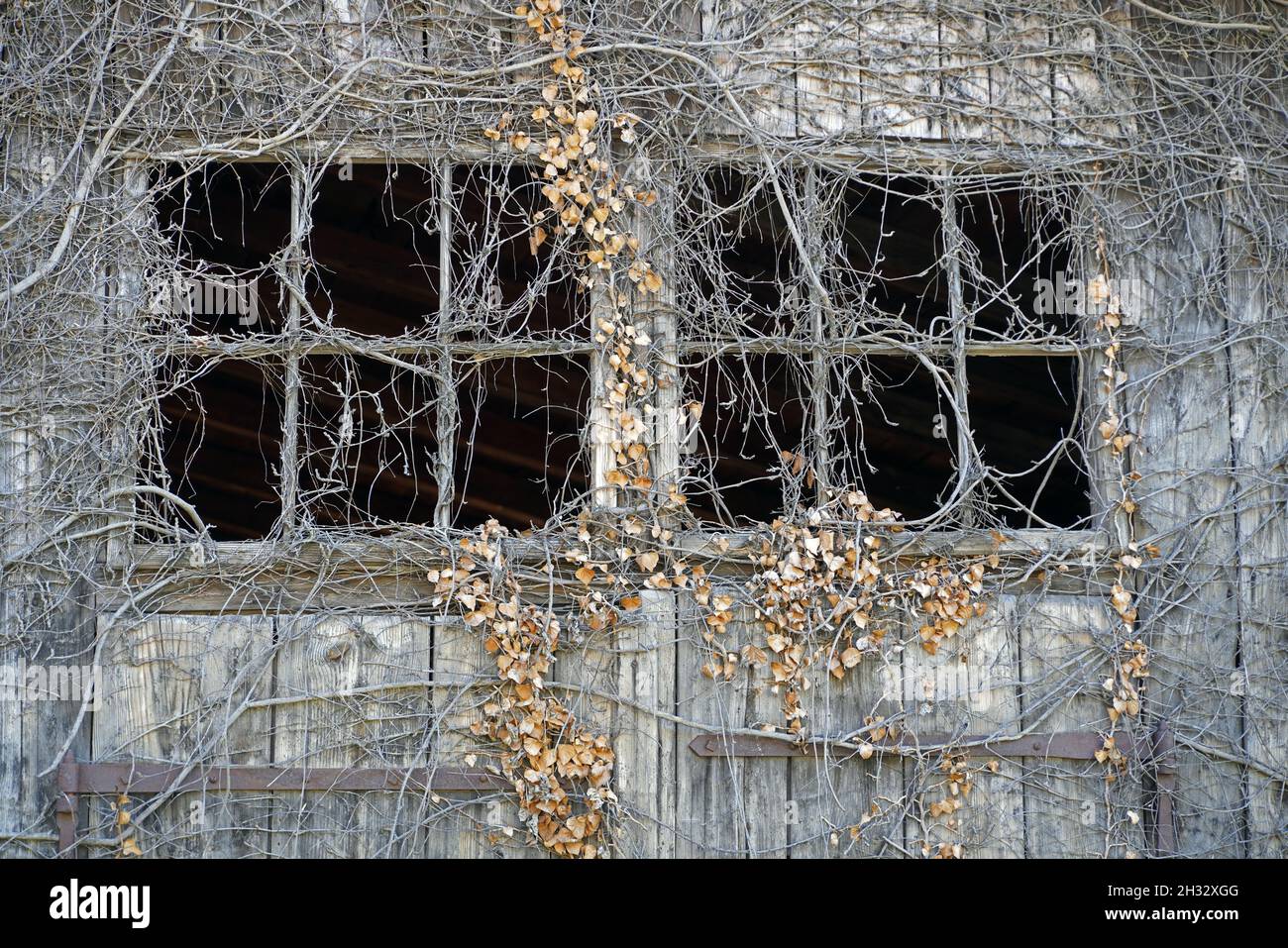 Old barn with broken windows and broken panes Stock Photo - Alamy