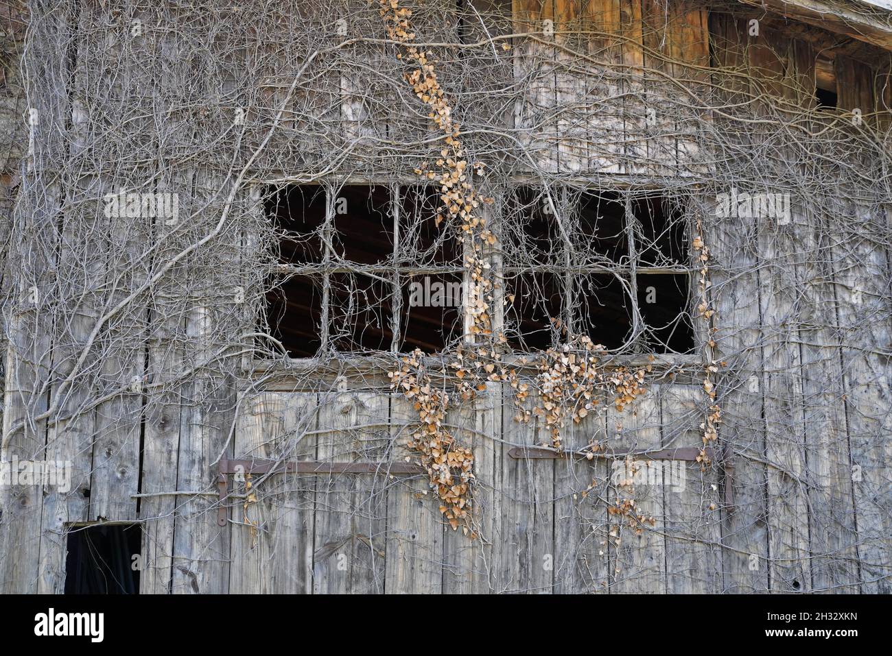 Old barn with broken windows and broken panes Stock Photo - Alamy