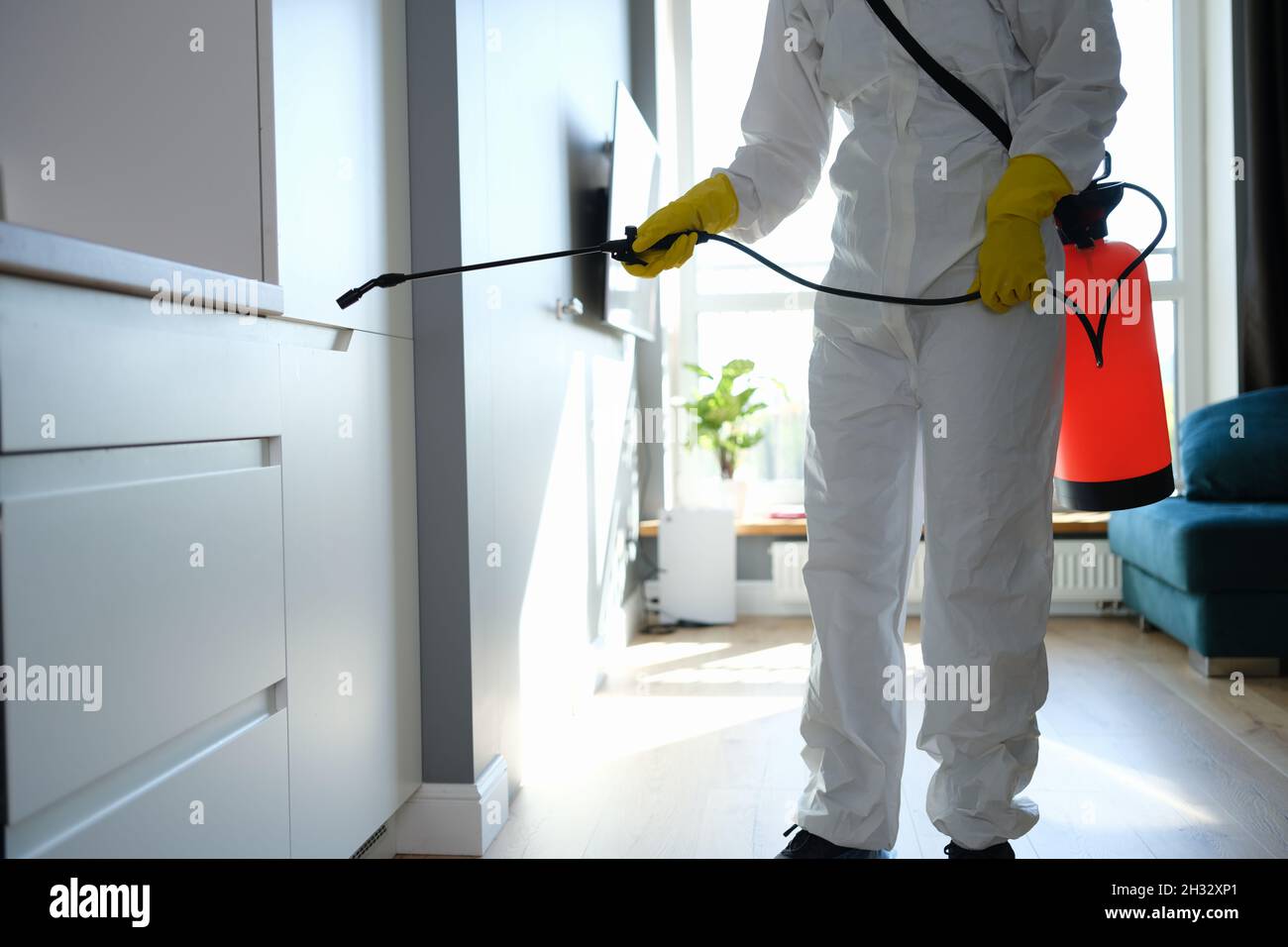 The insect disinfection service carries out the treatment Stock Photo ...