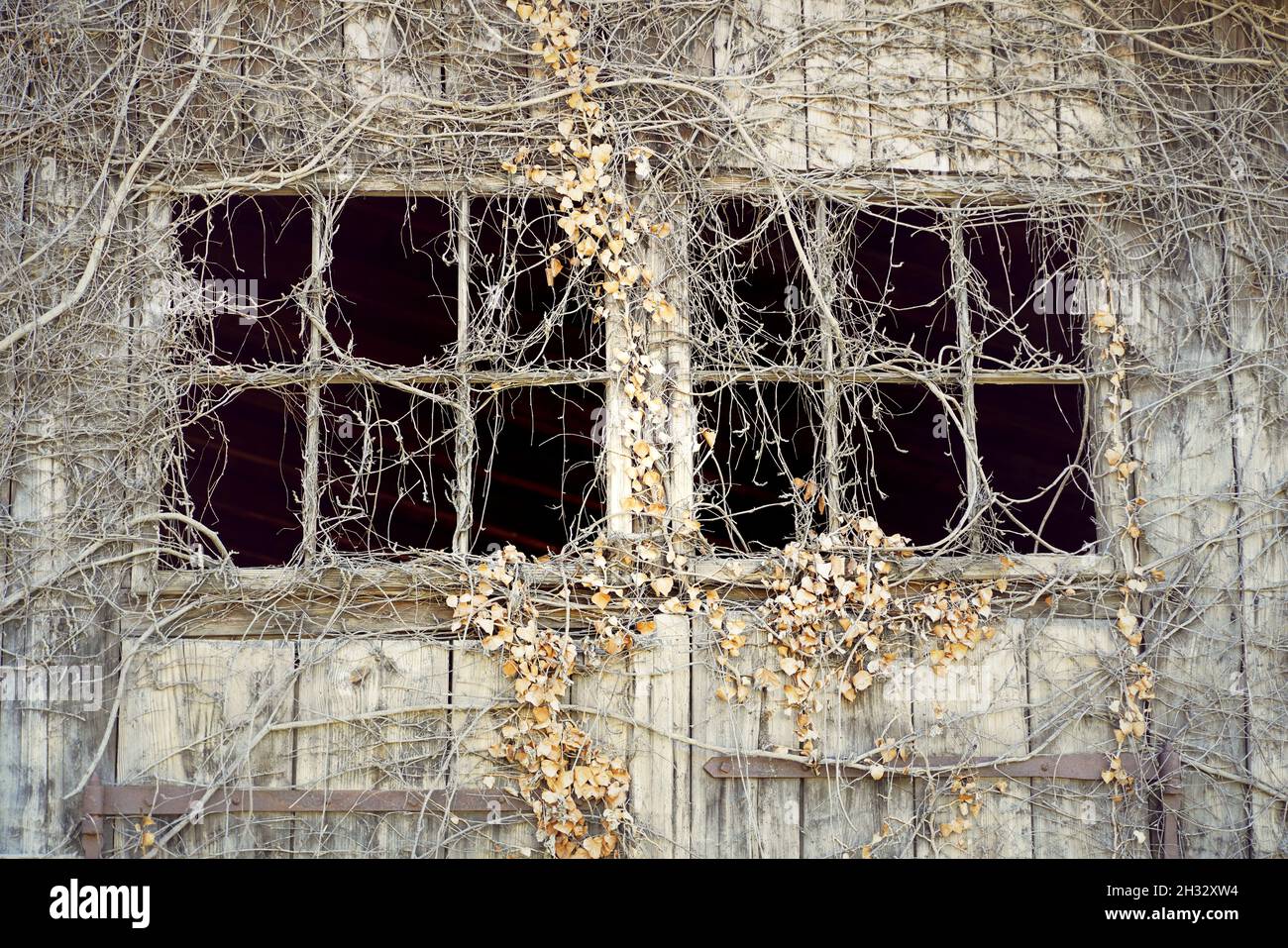 Old barn with broken windows and broken panes Stock Photo - Alamy
