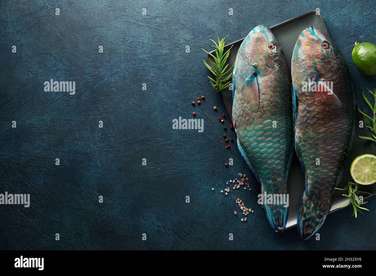 Blue parrot fish hi-res stock photography and images - Alamy