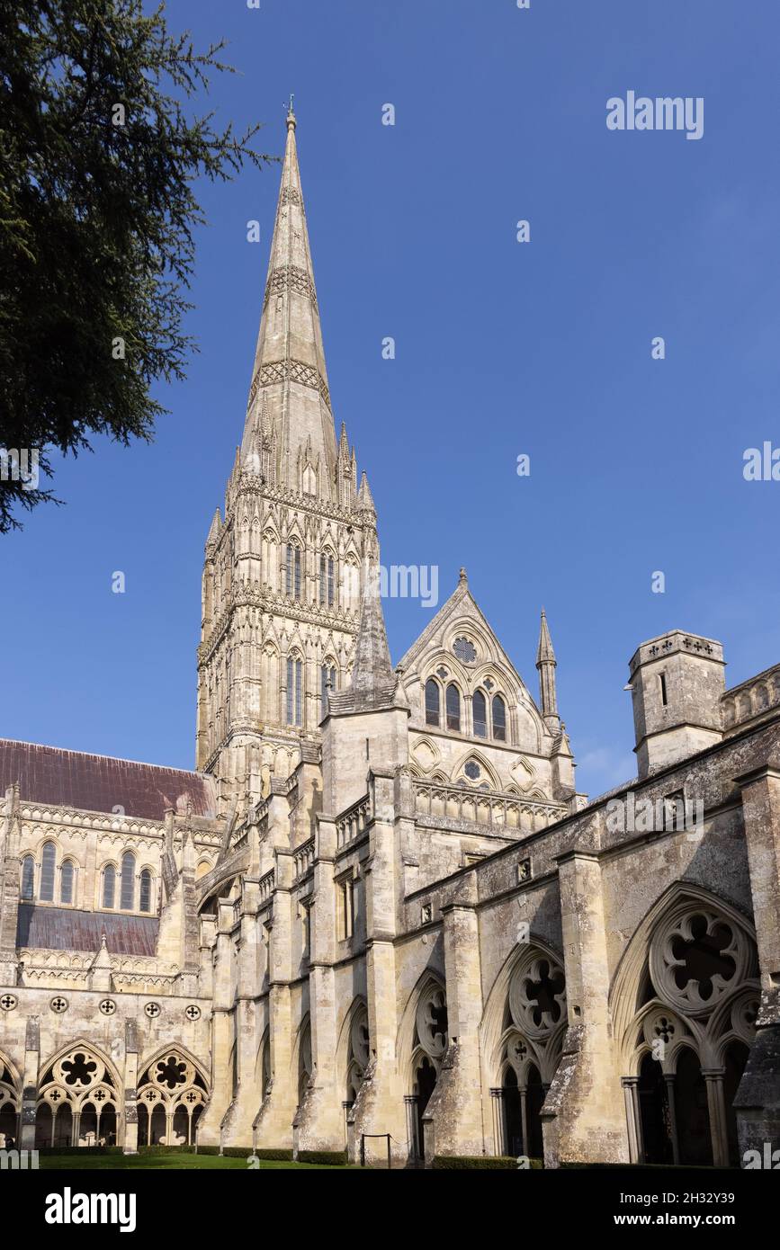 Salisbury Cathedral Section