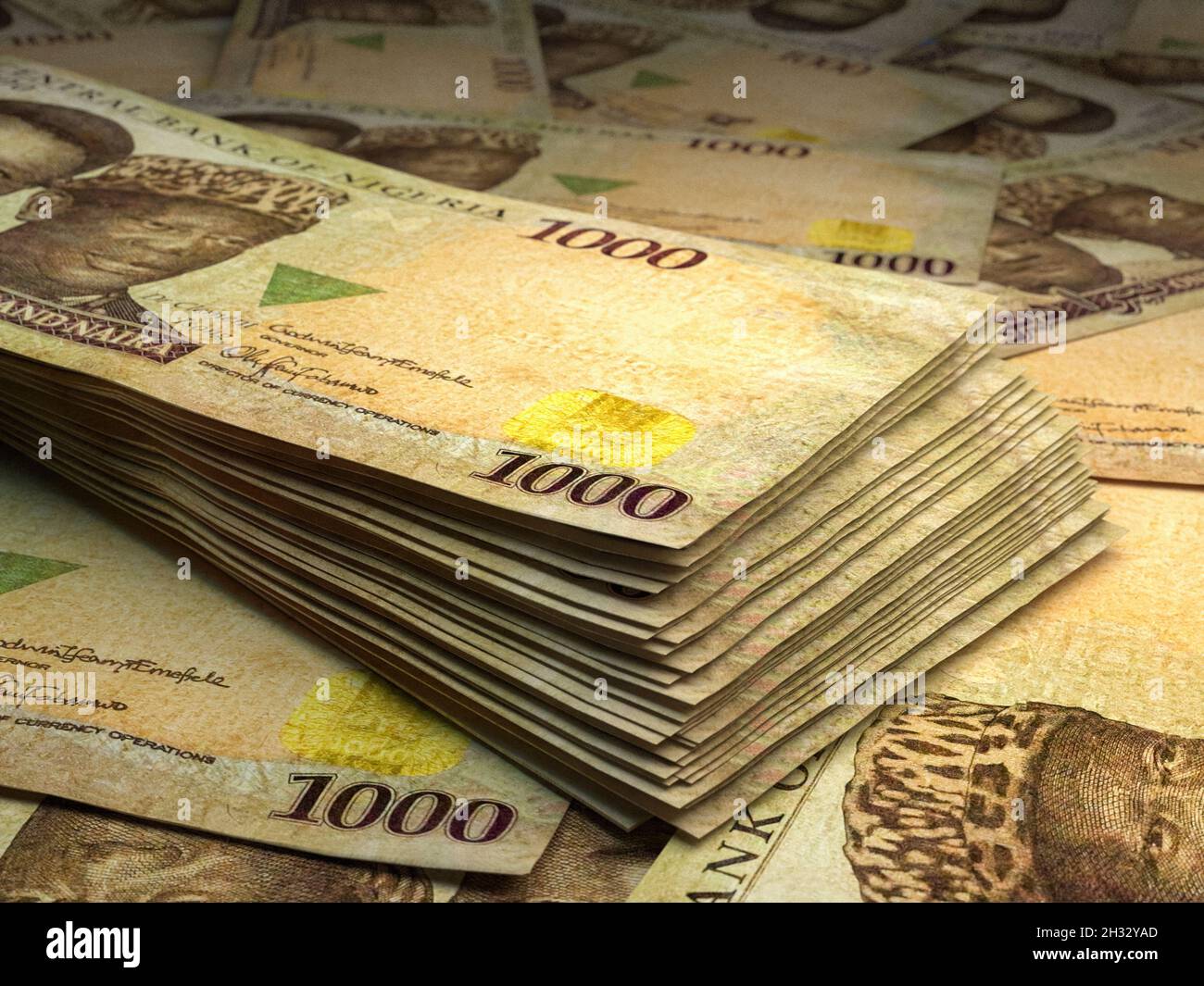 Money of Nigeria. Nigerian naira bills. NGN banknotes. 1000 polymer ...