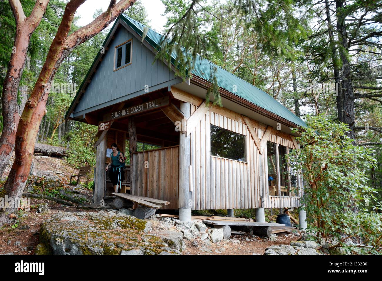 A female hiker at the Manzanita Hut camping shelter in the temperate ...